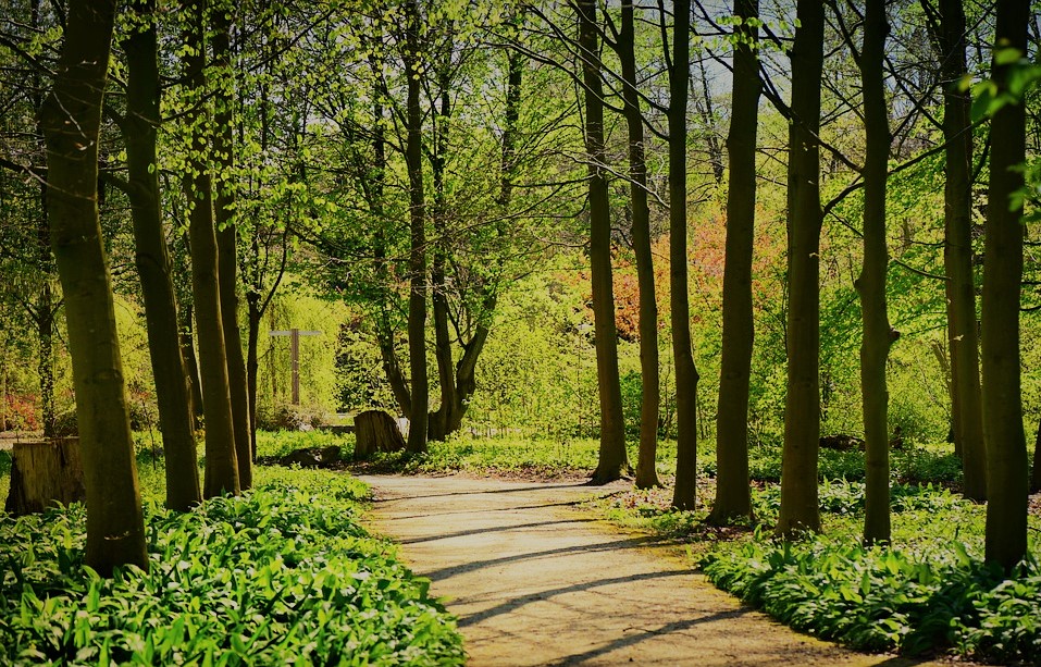 Path – Labels – Divinity | Faith for the Journey