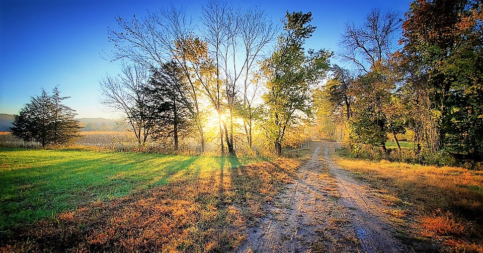 New Year Sunny Path (2) | Faith for the Journey