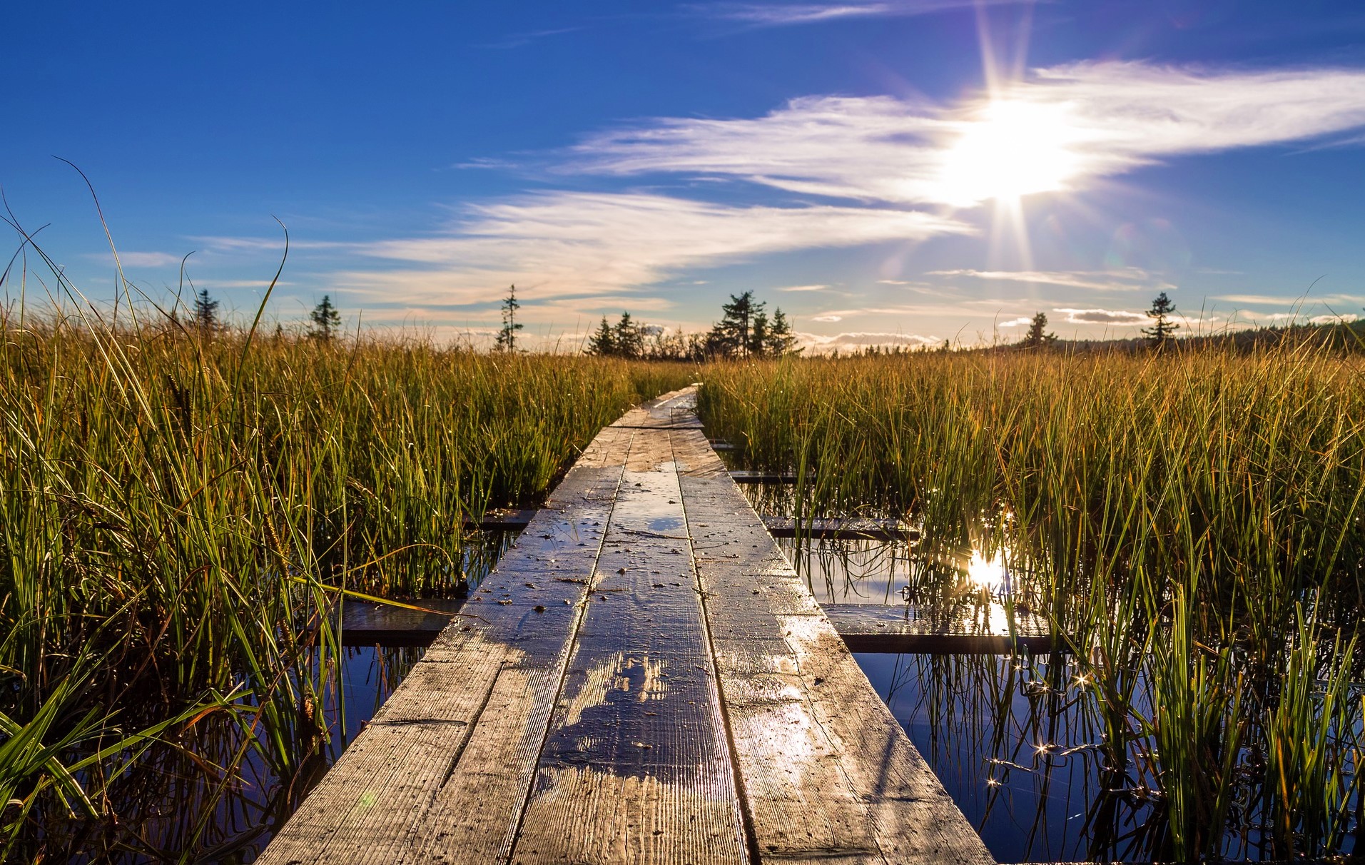 Hope Path – by invisiblepower – Pixabay | Faith for the Journey